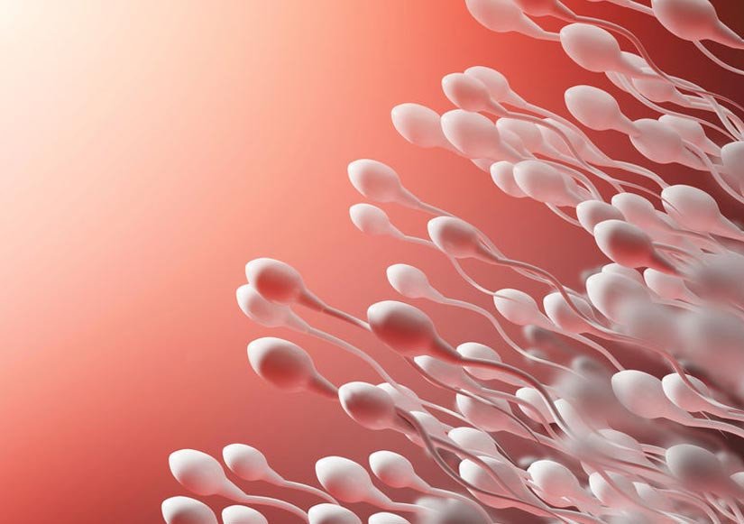What is sperm motility? How does it affect fertility? | Linkgeanie.com What is sperm motility? How does it affect fertility? | Linkgeanie.com